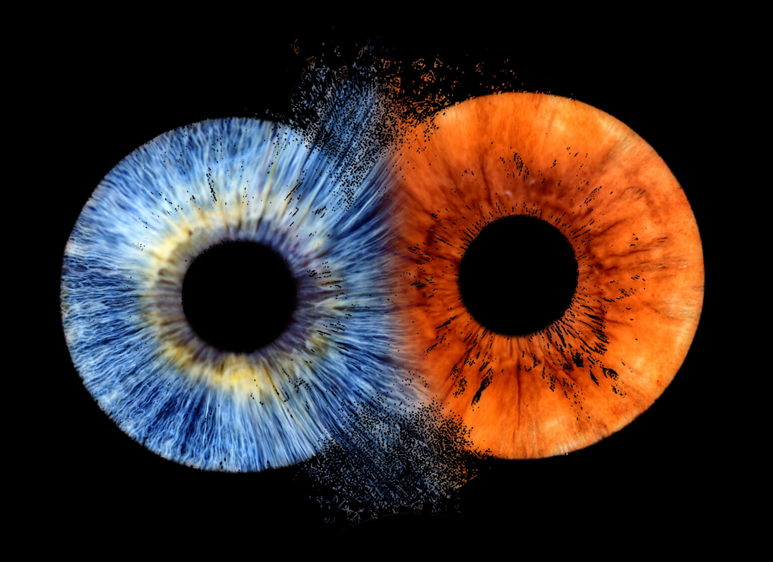 My Iris | Unique Eye Photography + Franchise Business Model
