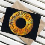 My Iris | Unique Eye Photography + Franchise Business Model